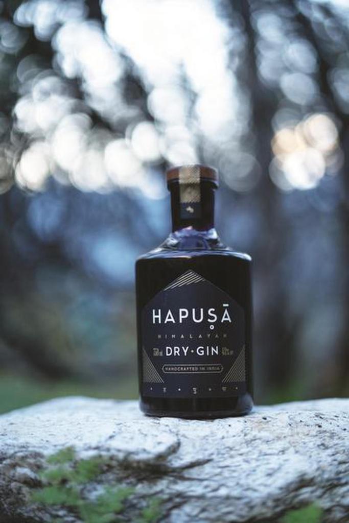 Why Hapusa is India’s Must-Try Craft Gin – Shoe/Syrup/Sushi
